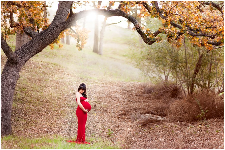Suzy's Romantic Maternity Portraits - Just Maggie Photography